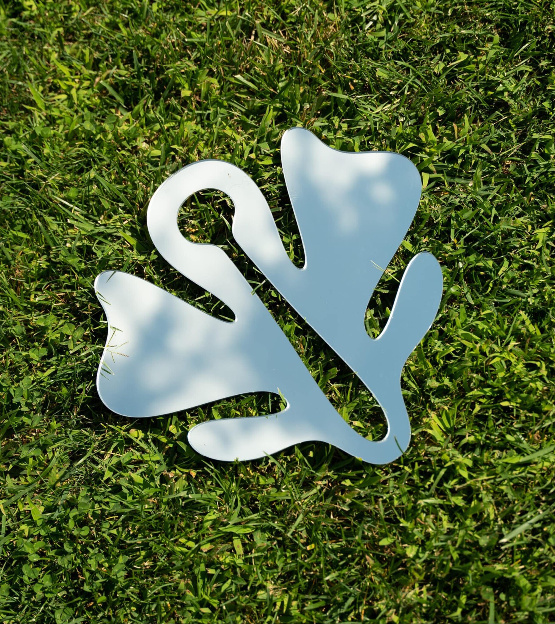 Charlotte Vard • Art Direction