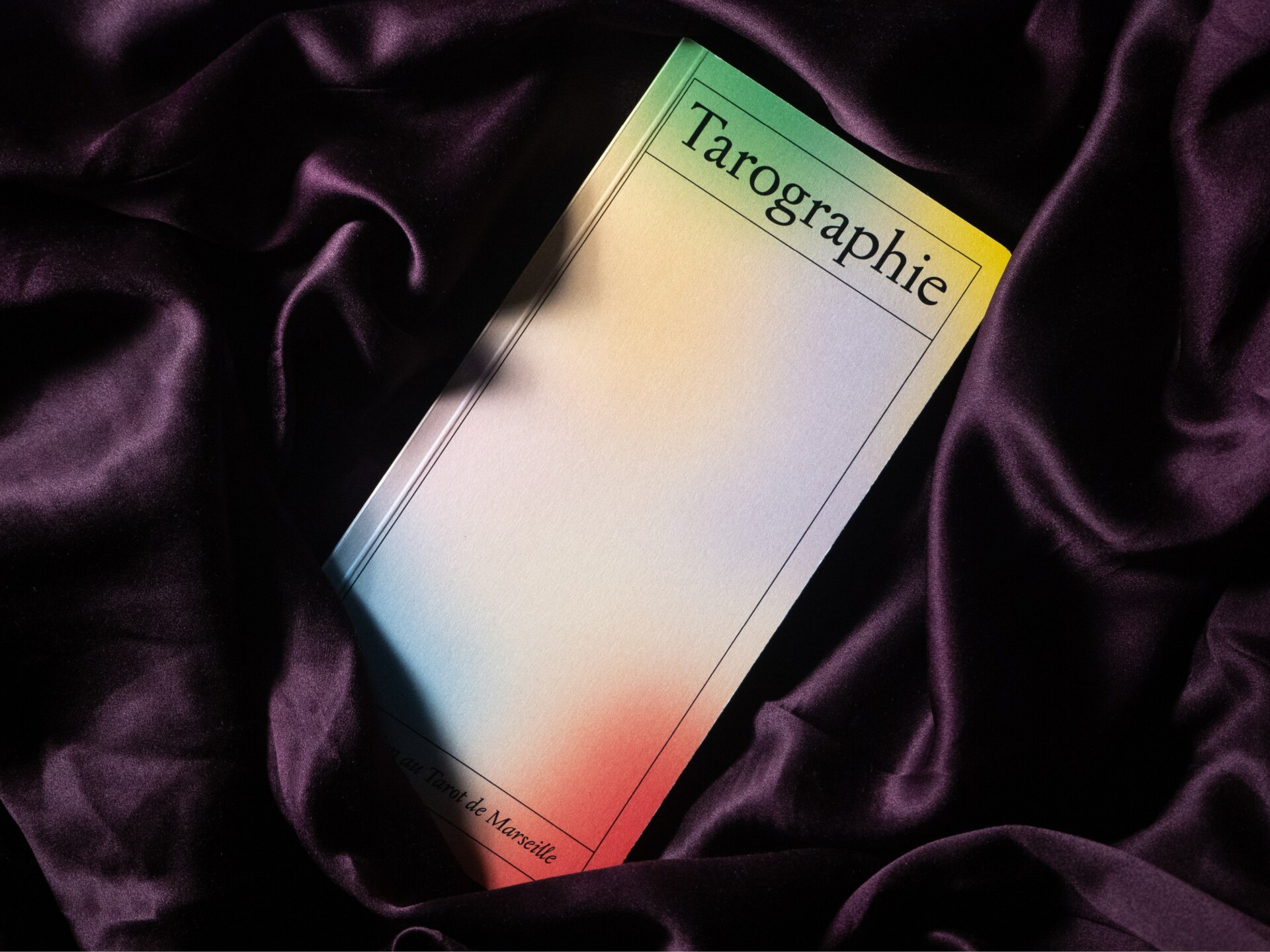 Charlotte Vard • Art Direction