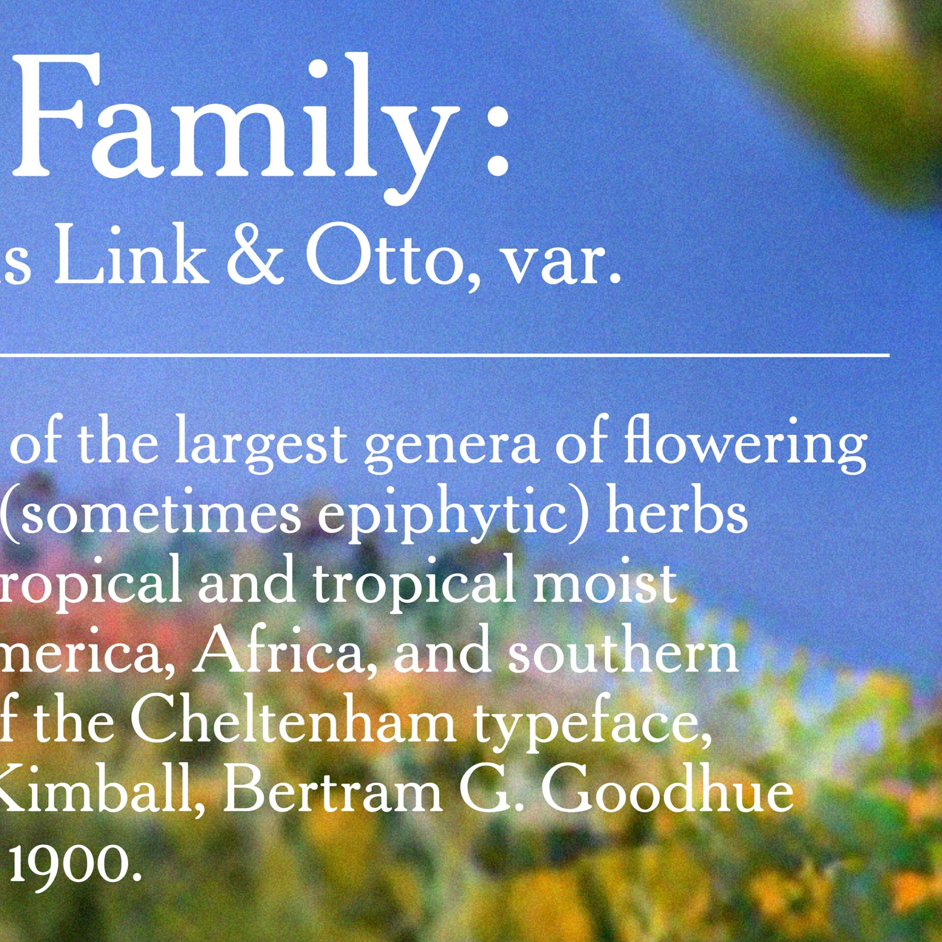 Charlotte Vard • Art Direction