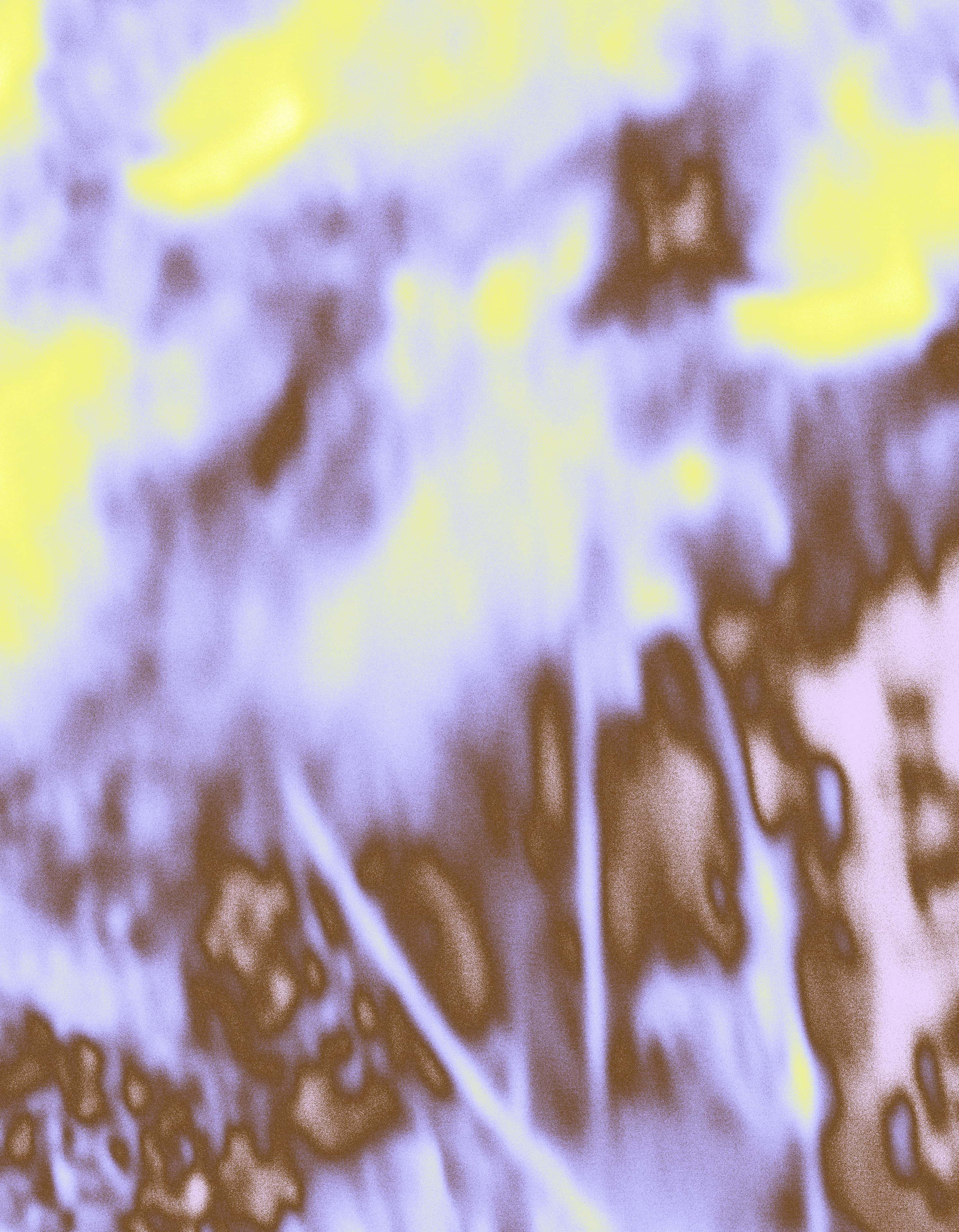 Charlotte Vard • Graphic Design & Art Direction